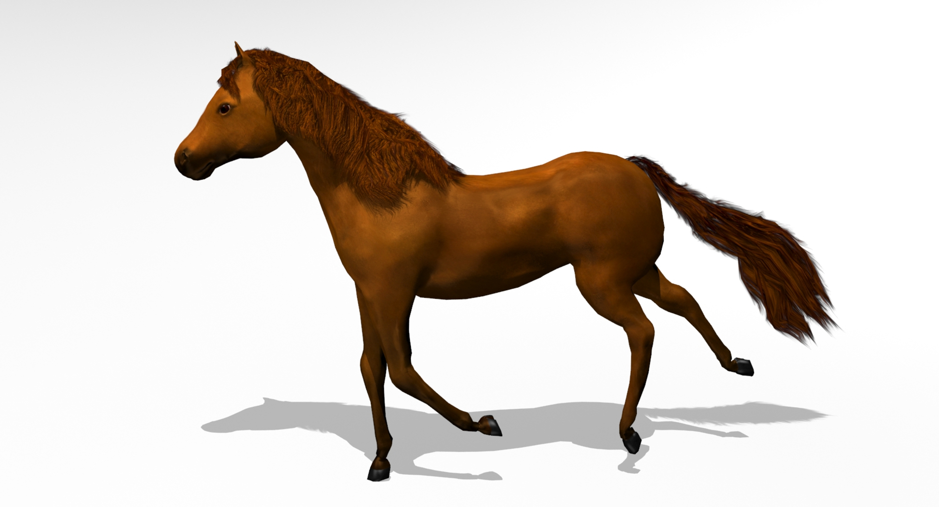 3d Model Horse Animation