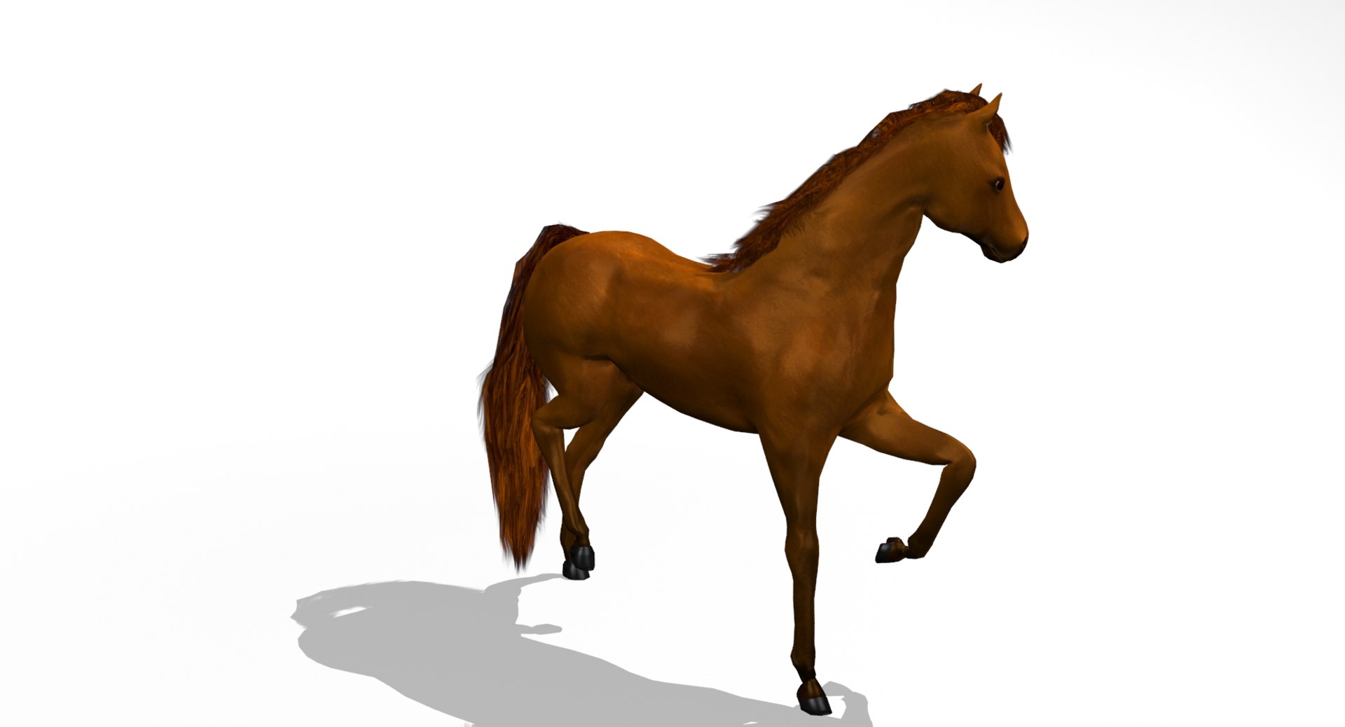 3d Model Horse Animation