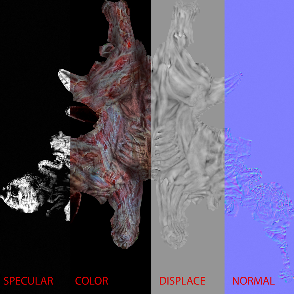 rigging animation skin 3d max