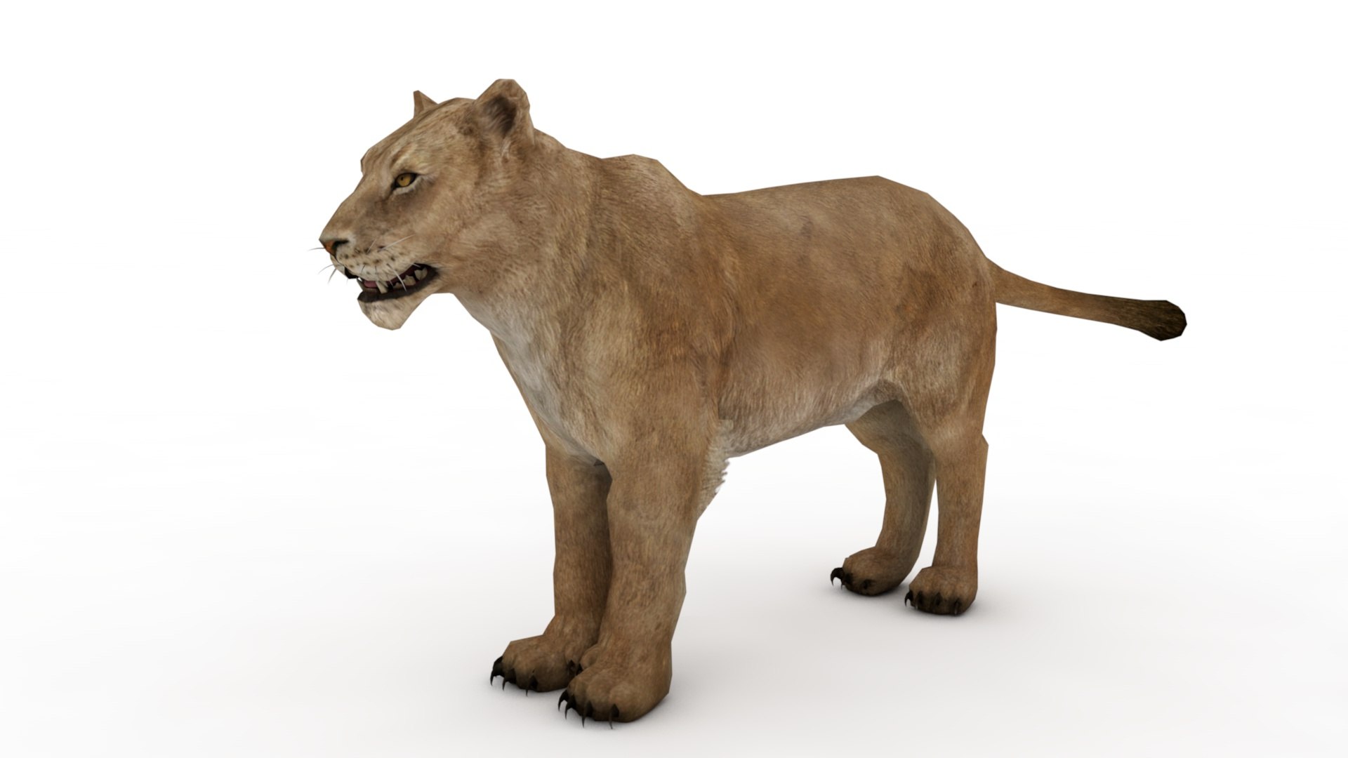 3D Lioness Model - TurboSquid 1932184
