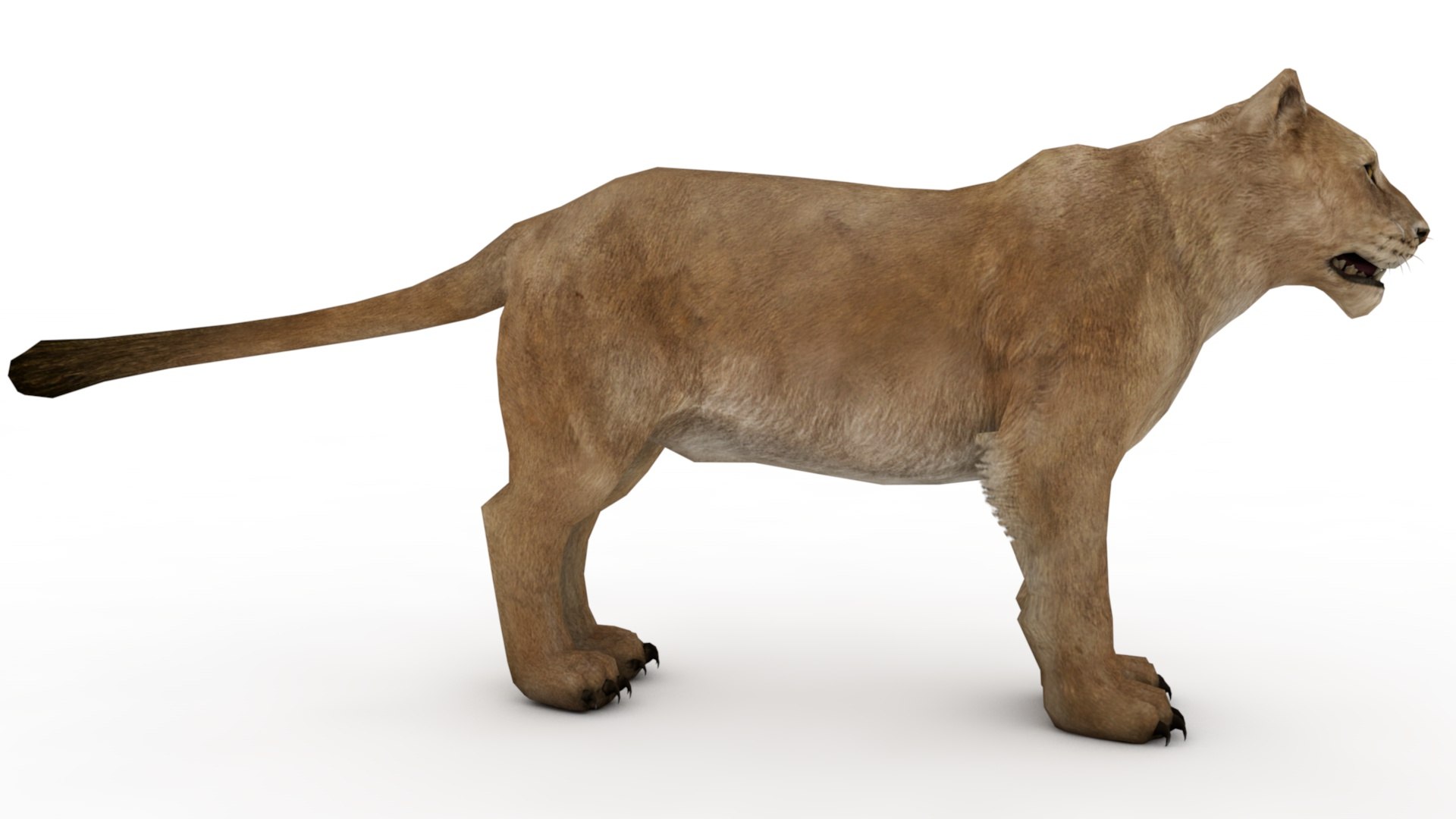 3D Lioness Model - TurboSquid 1932184
