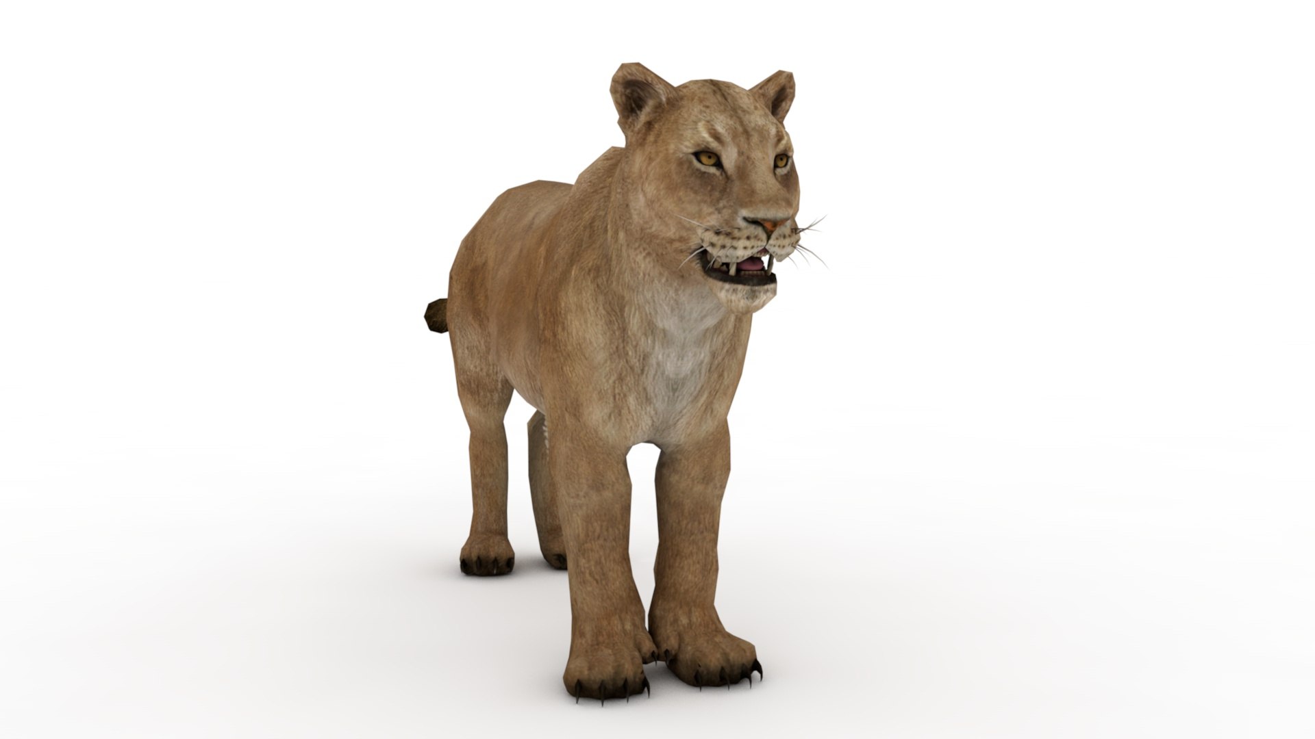 3D Lioness Model - TurboSquid 1932184