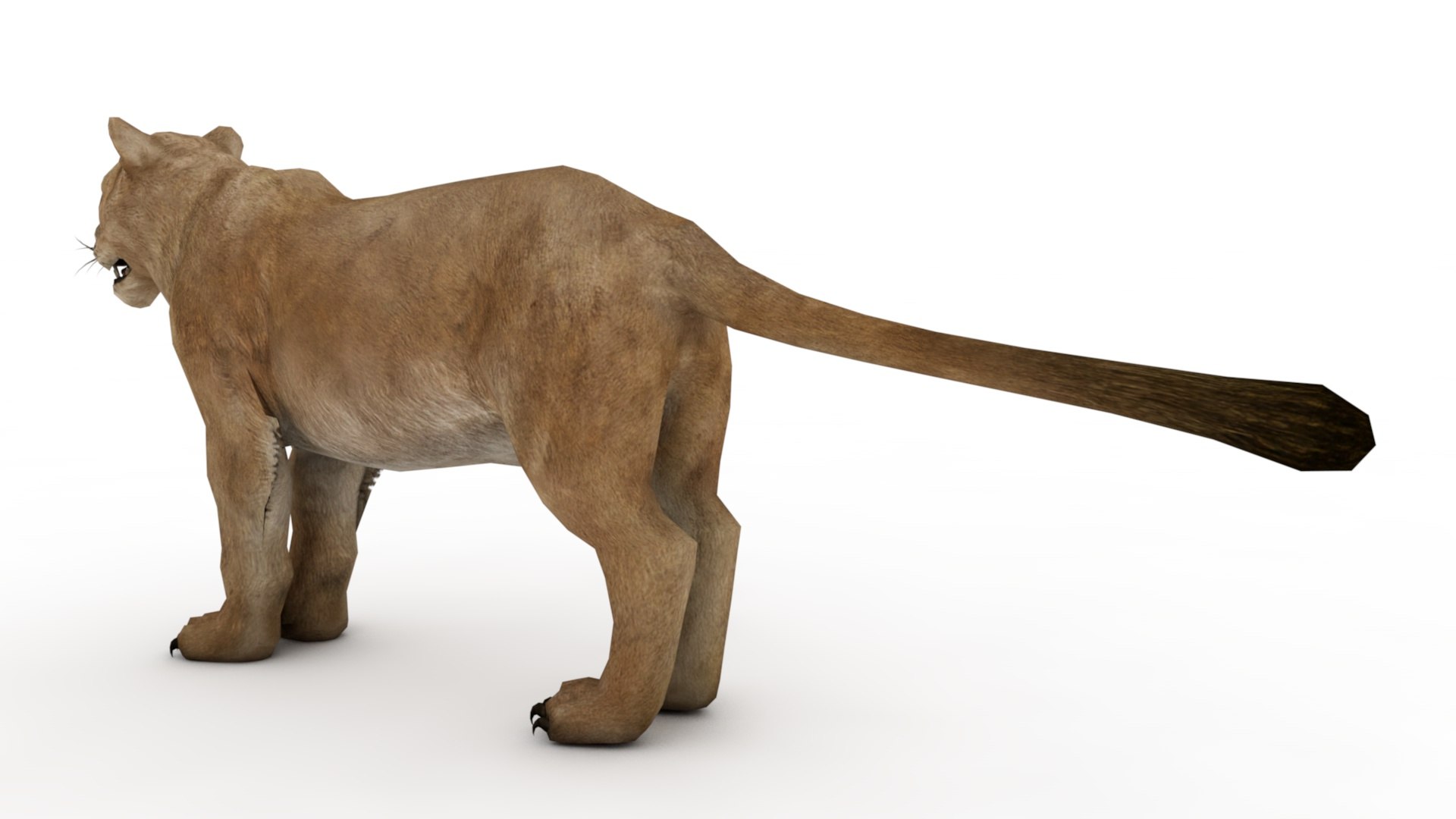 3D Lioness Model - TurboSquid 1932184