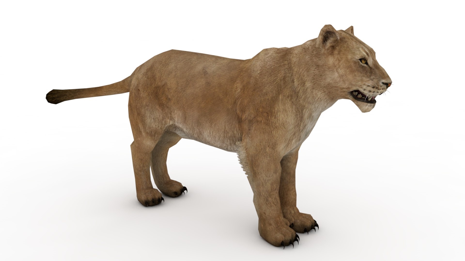 3D Lioness Model - TurboSquid 1932184