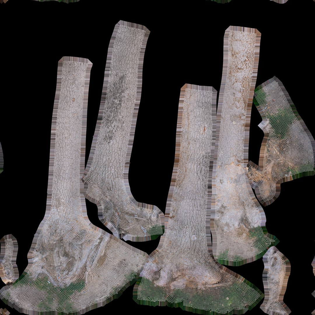 High Quality Scan Ash Tree Trunk - 2 3D Model - TurboSquid 2207972