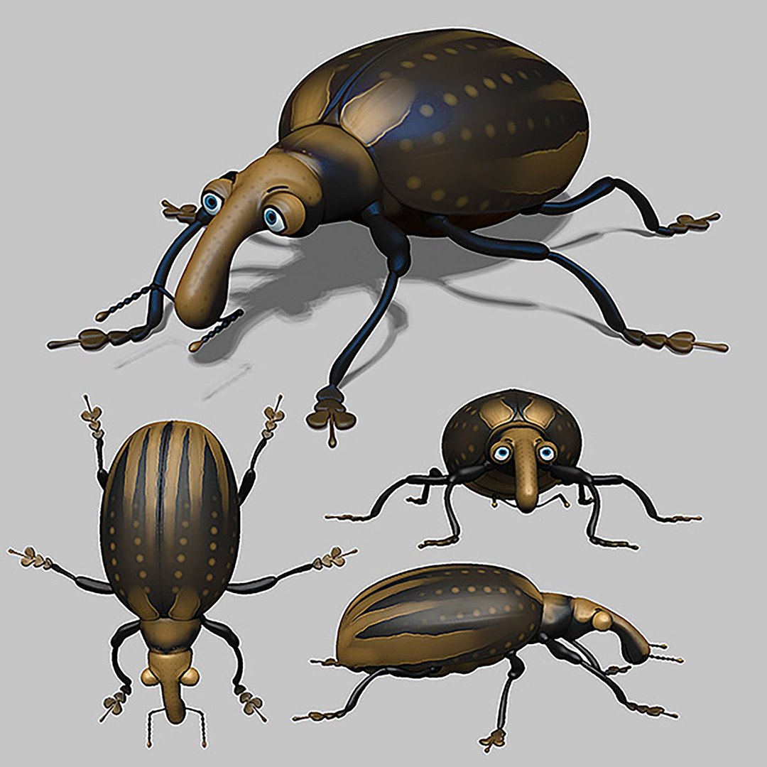 3d Weevil Insect Cartoony Stylized Model Turbosquid 2196529
