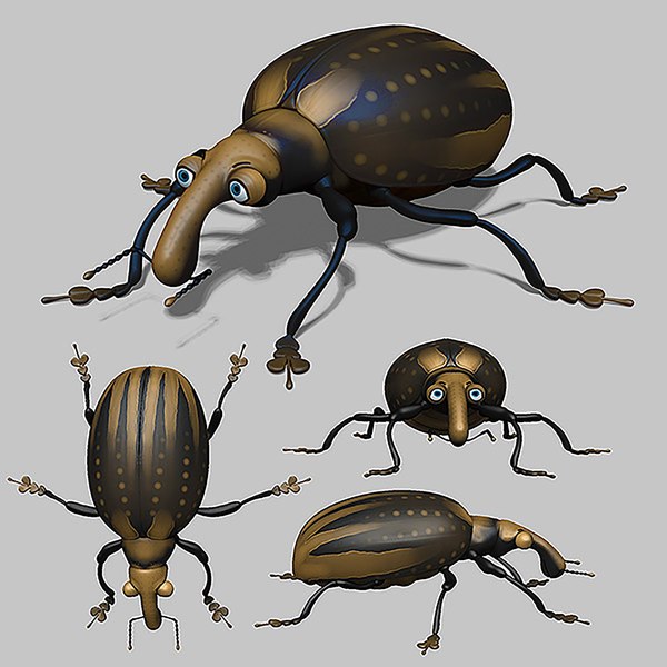 Weevil 3D Models for Download | TurboSquid