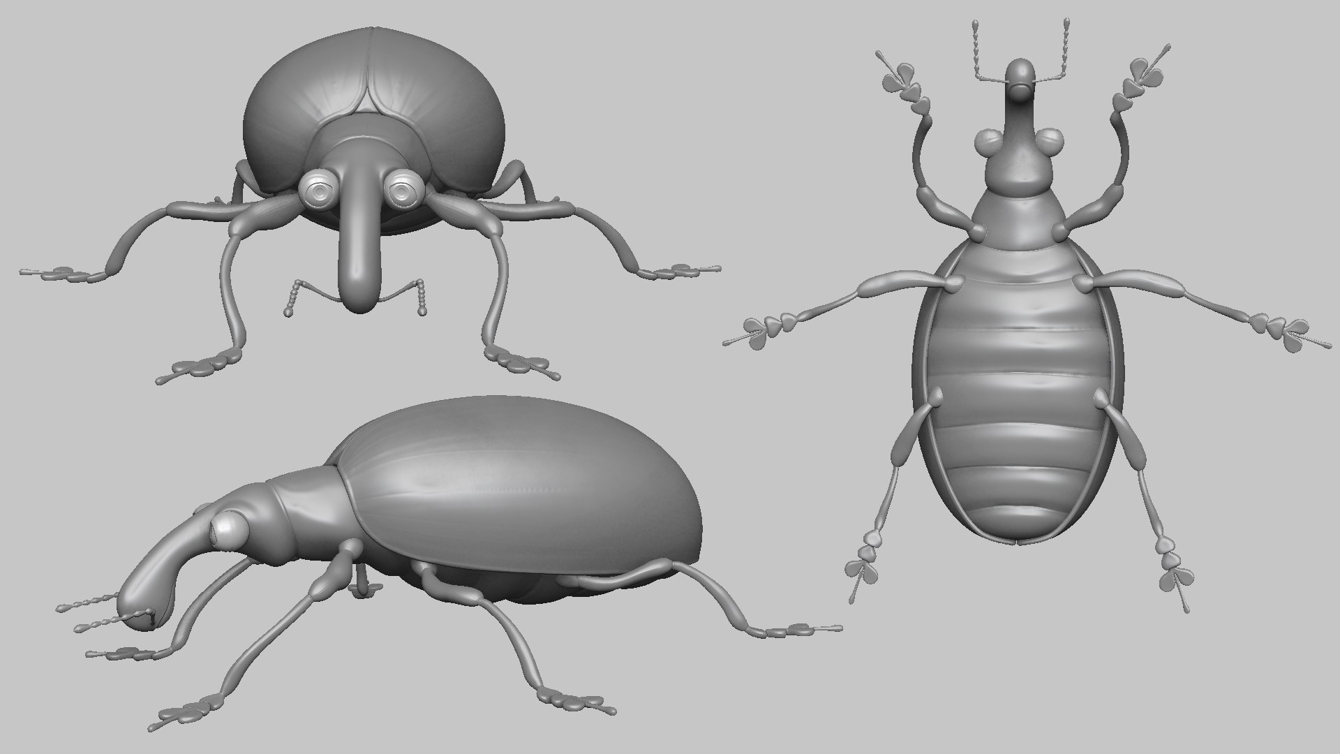 3D Weevil Insect Cartoony Stylized Model - TurboSquid 2196529