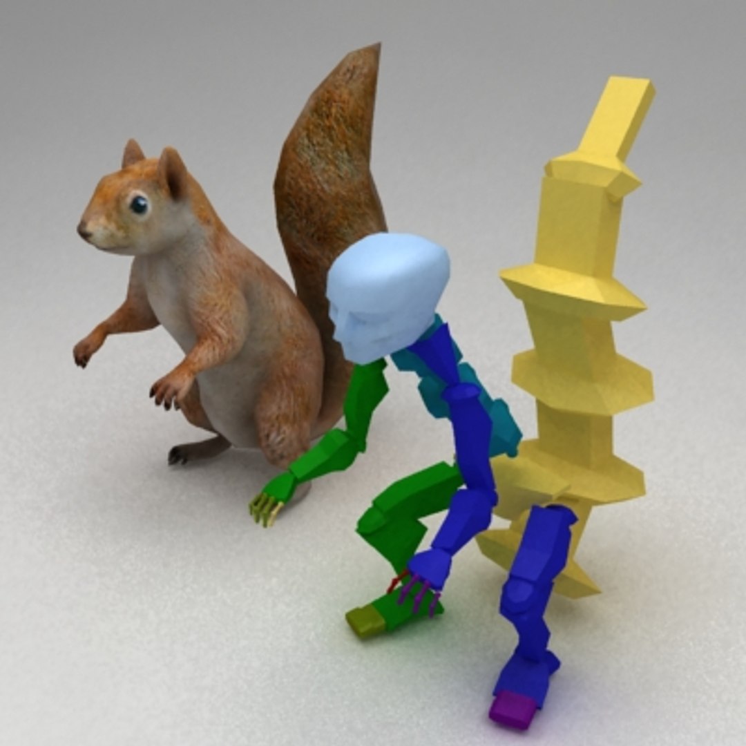 3d Rigged Squirrel Model