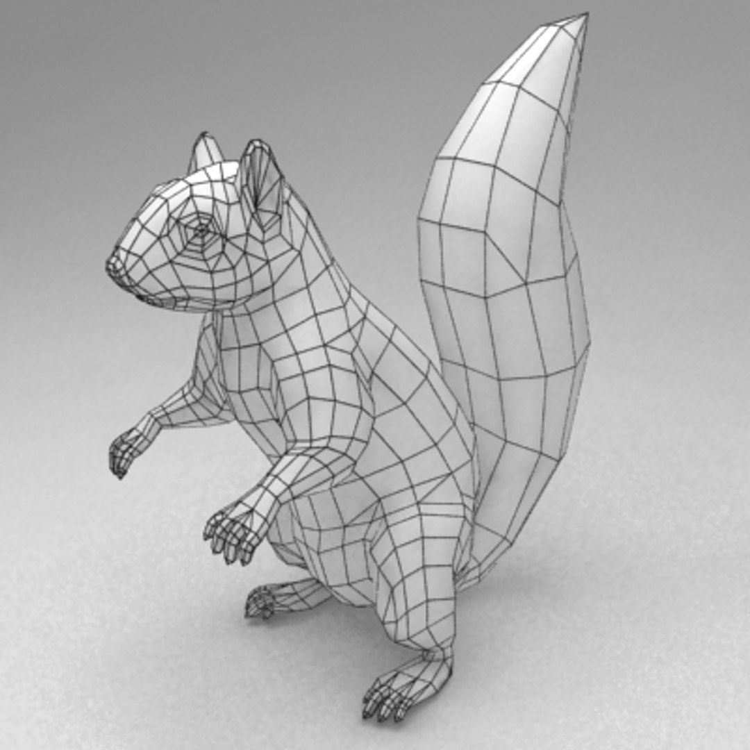 3d Rigged Squirrel Model