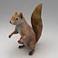 3d Rigged Squirrel Model