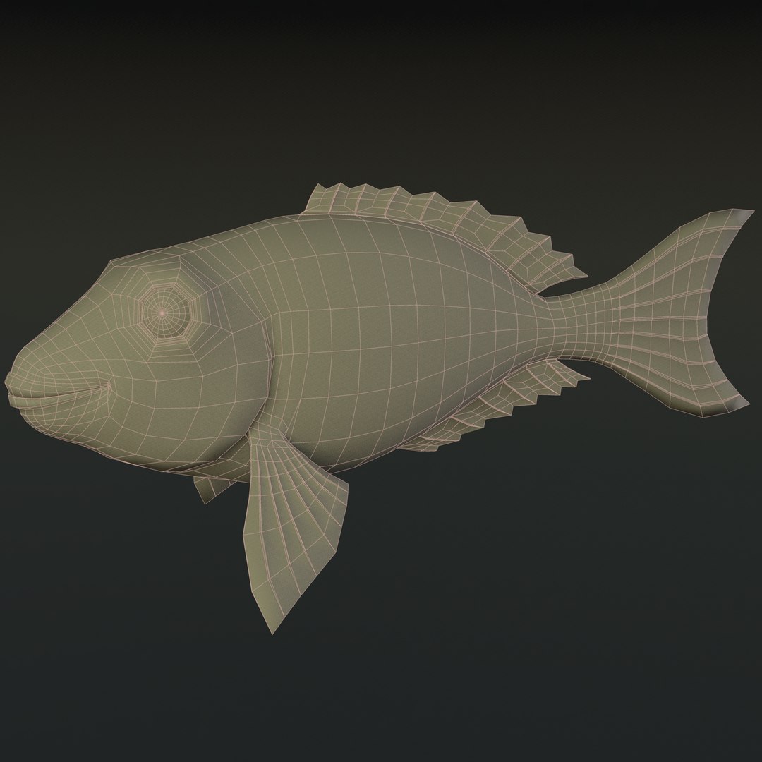 Rigged 3d Model