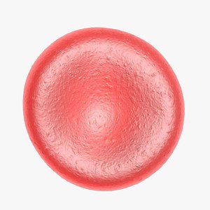 Red Blood Cell 3D Studio Models for Download | TurboSquid