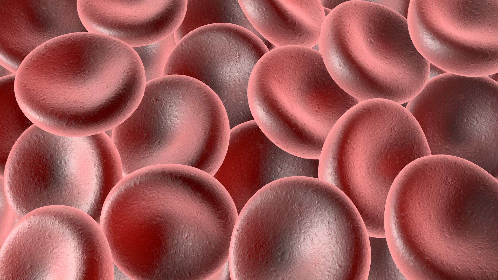 Red Blood Cell 3D Model - TurboSquid 2102446