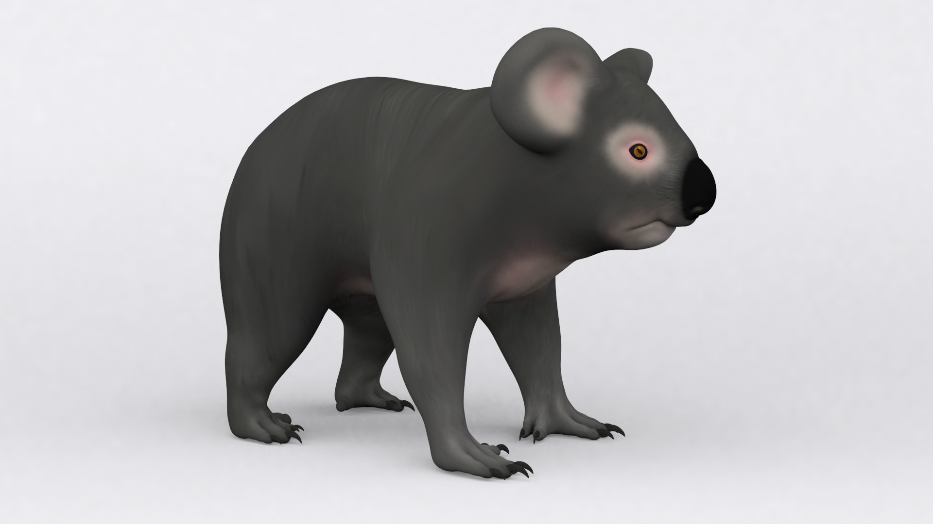 3D Cartoon Koala Bear - TurboSquid 1600934