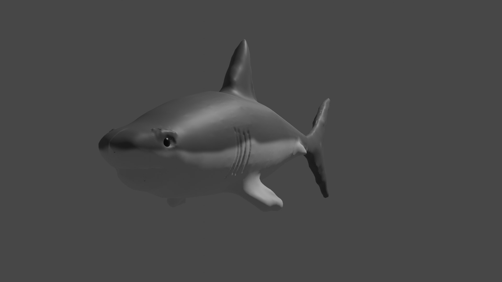 3D Shark Blender Animation Model - TurboSquid 1517695