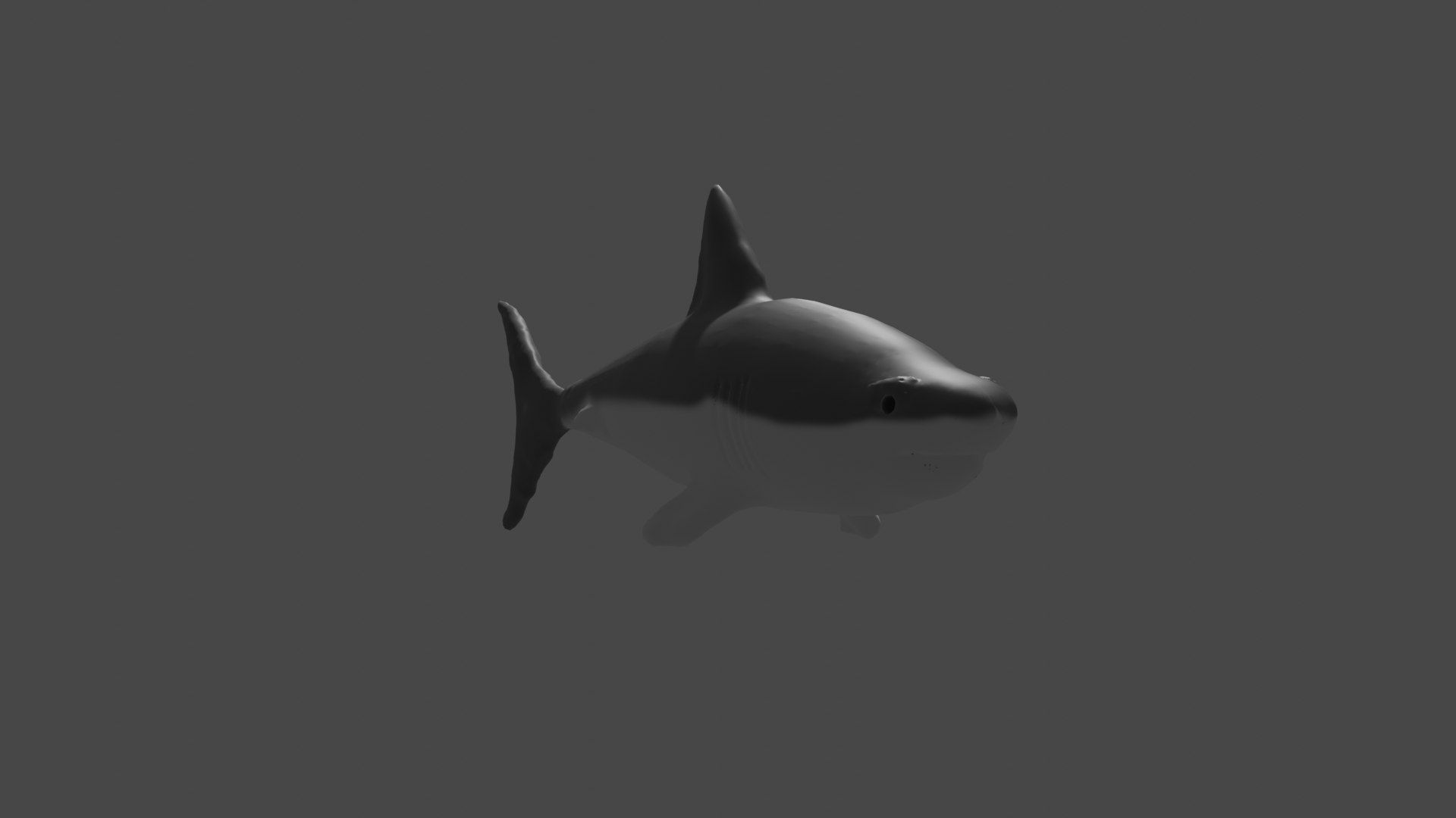 3D Shark Blender Animation Model - TurboSquid 1517695