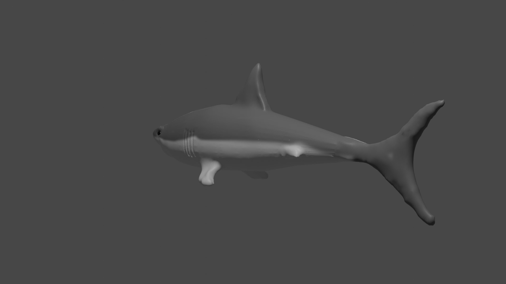 3D Shark Blender Animation Model - TurboSquid 1517695