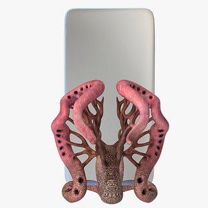 Carcasa De Telefono STL Modelos para Descargar | TurboSquid