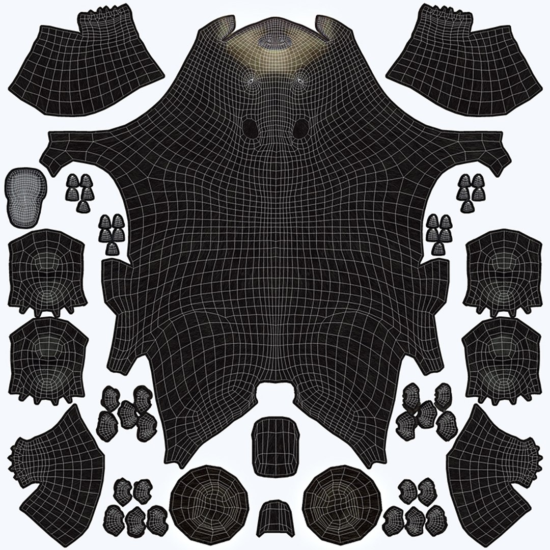 3D Black Bear model - TurboSquid 1897345