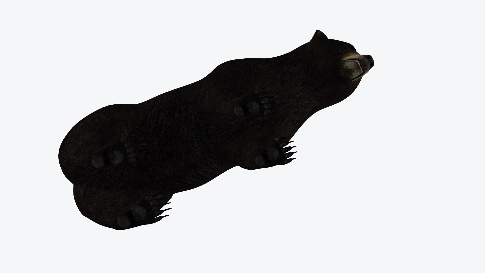 3D Black Bear model - TurboSquid 1897345