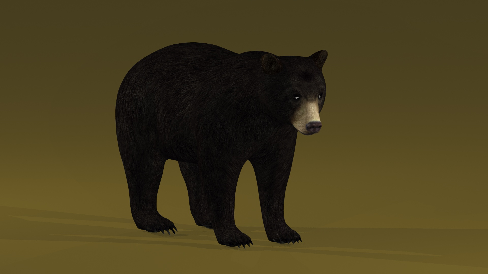 3D Black Bear model - TurboSquid 1897345