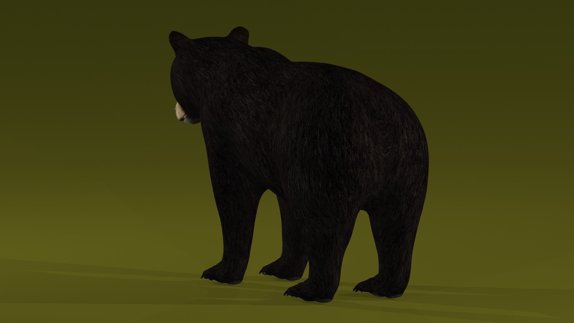 3D Black Bear model - TurboSquid 1897345