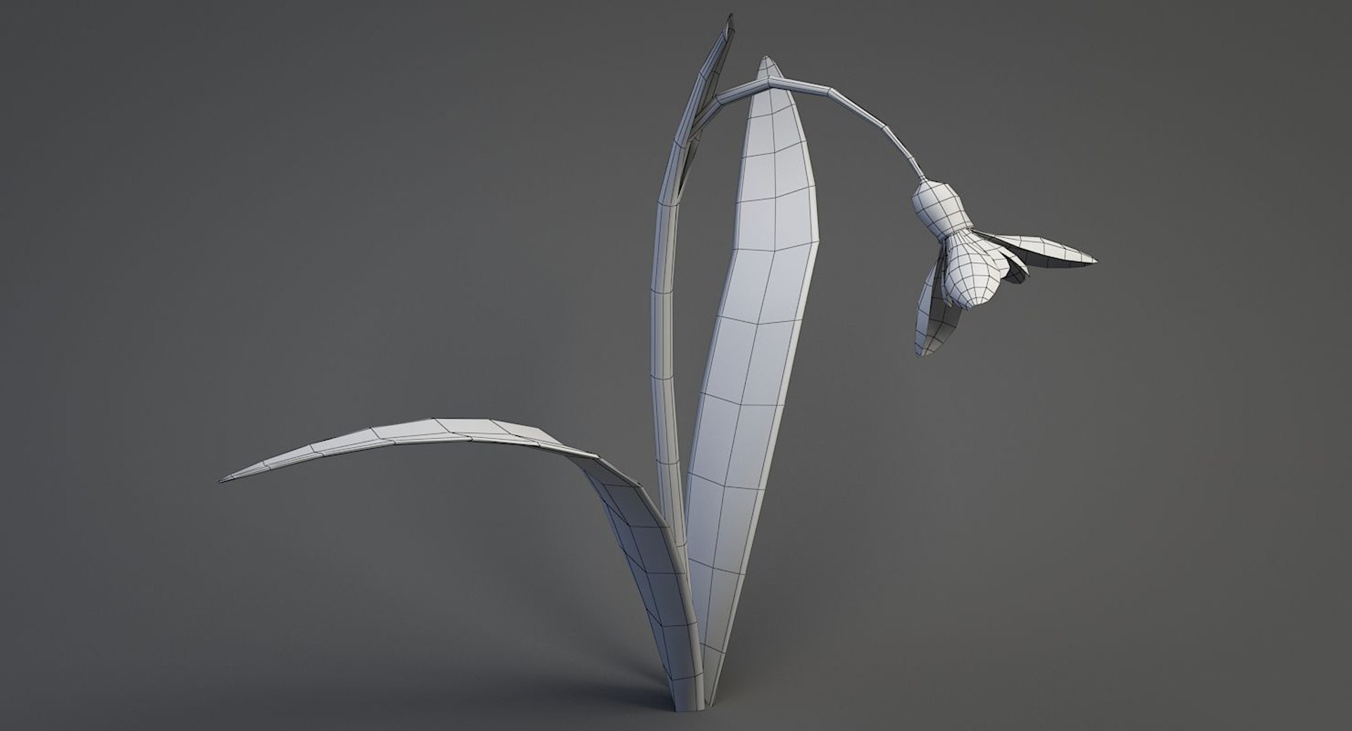 3D Realistic Snowdrop Flower - TurboSquid 1248751