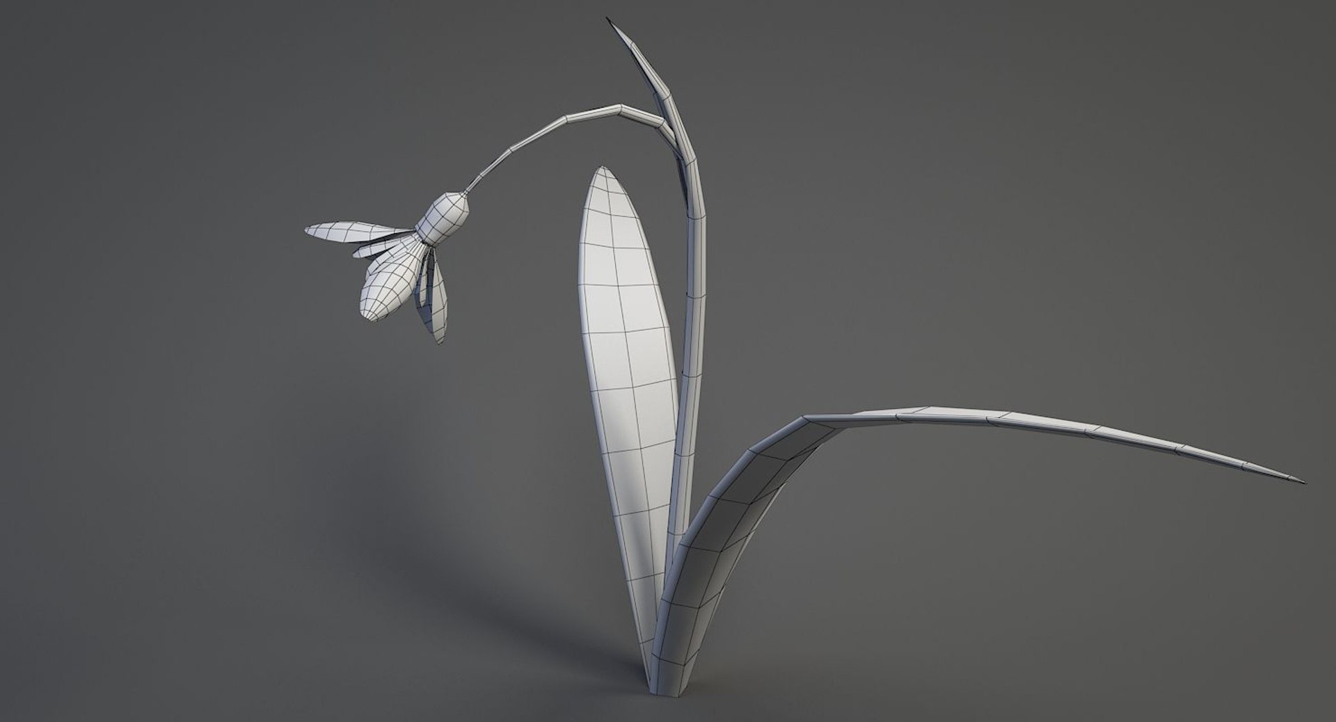 3D Realistic Snowdrop Flower - TurboSquid 1248751