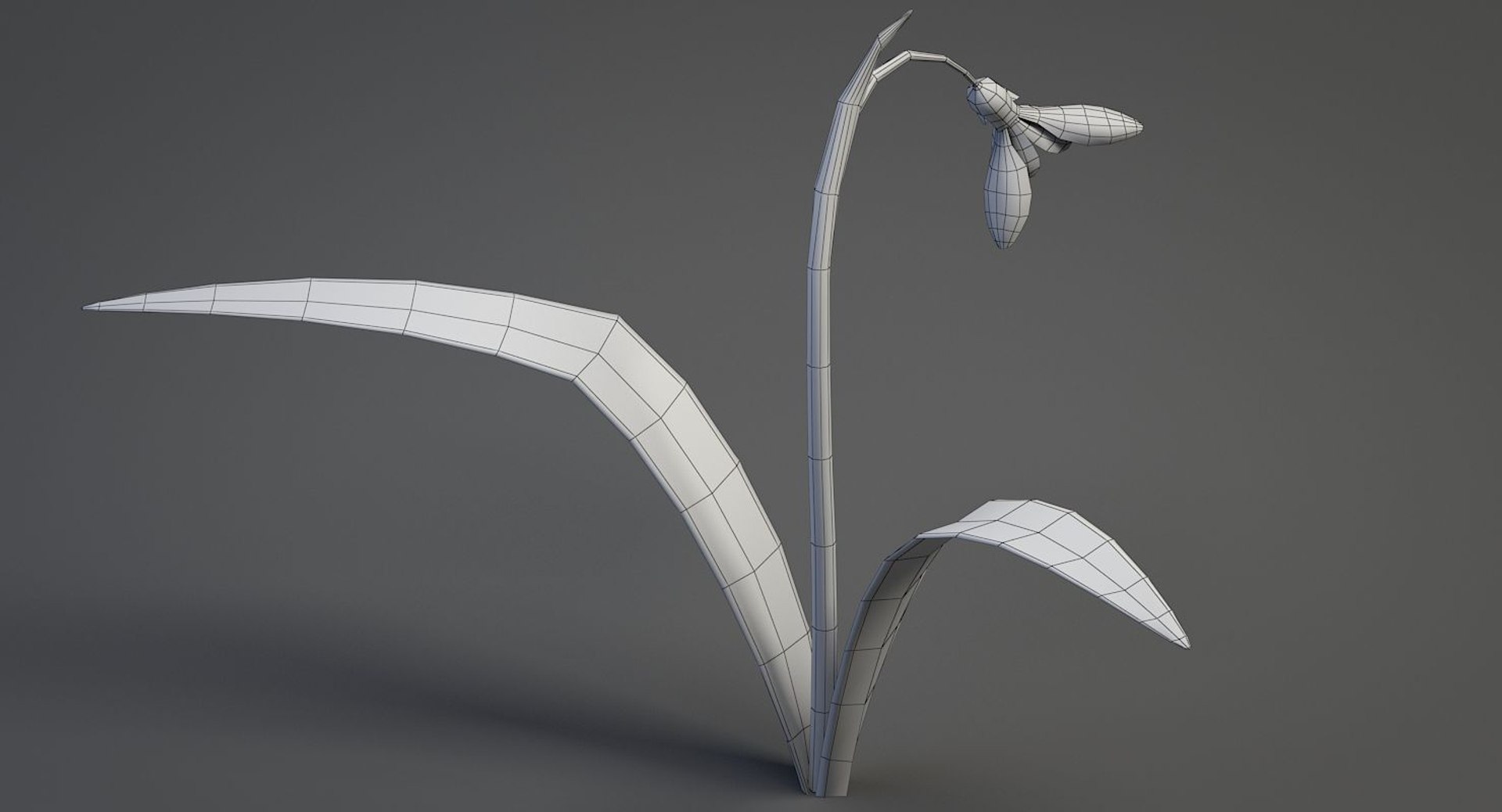 3D Realistic Snowdrop Flower - TurboSquid 1248751