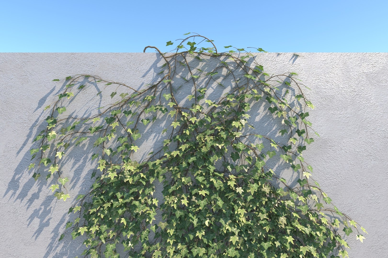 3D Ivy - Wall Model - TurboSquid 1407256