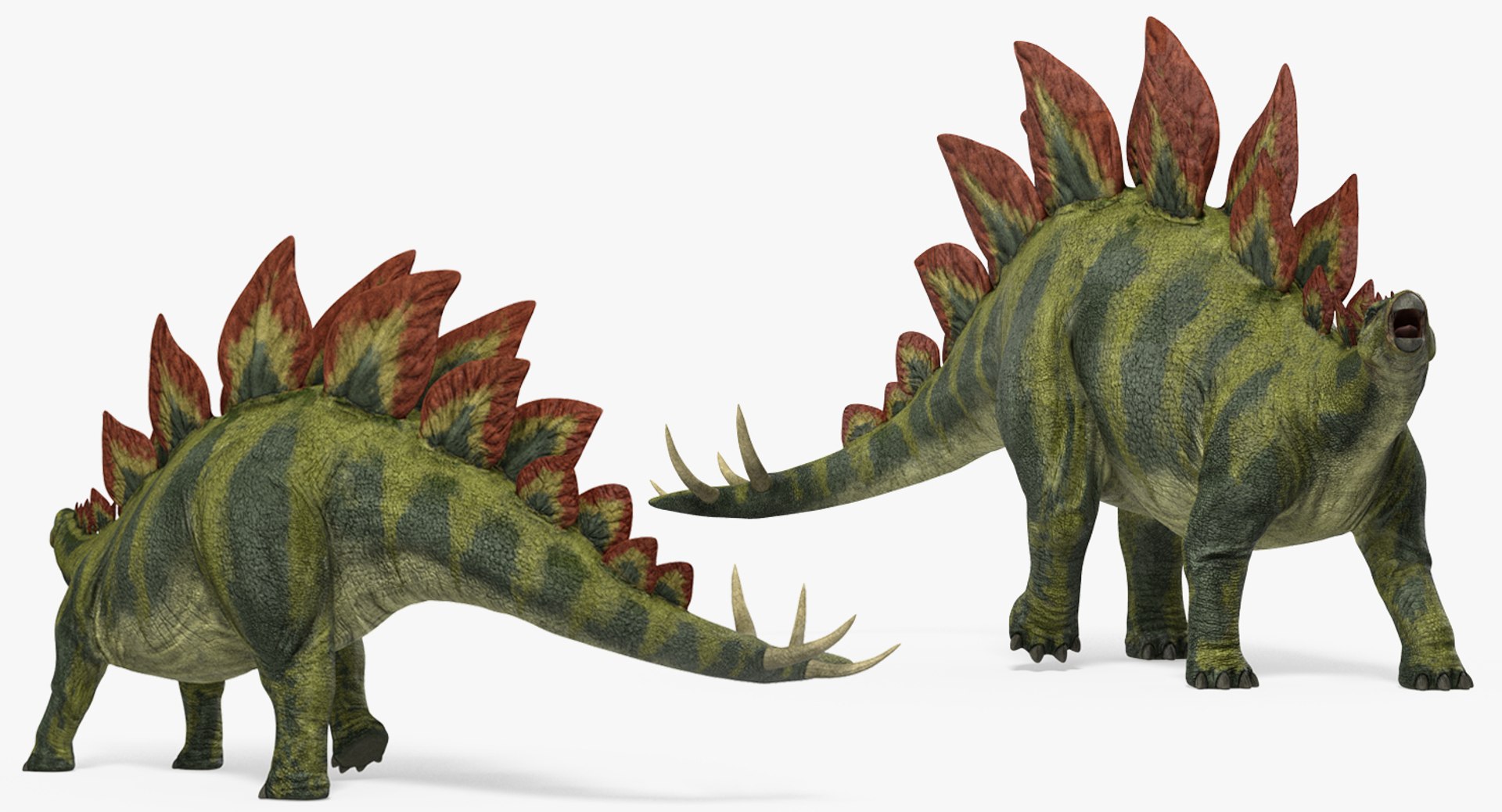 3d Model Stegosaurus Rigged