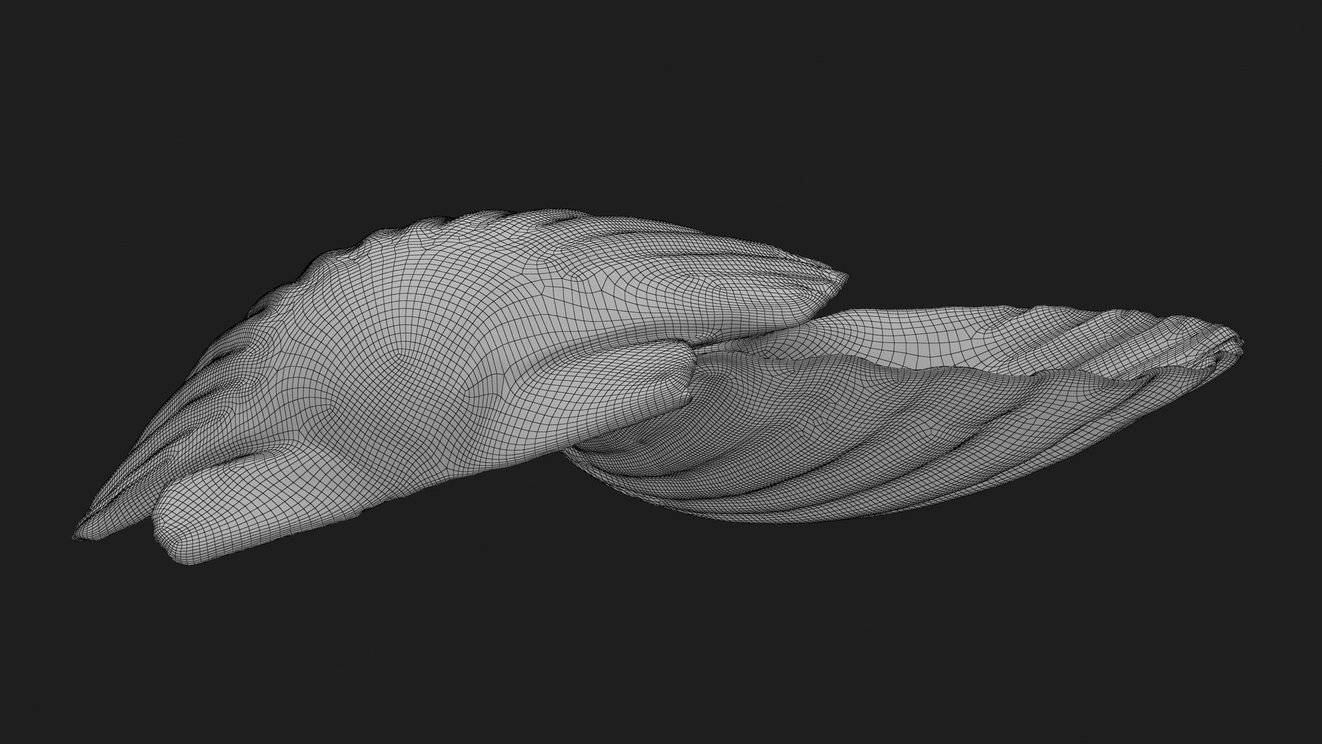 Clam Shell Pose 2 Collection 3D Model - TurboSquid 2279938