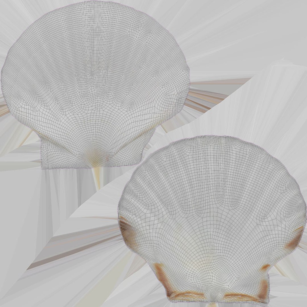 Clam Shell Pose 2 Collection 3D Model - TurboSquid 2279938