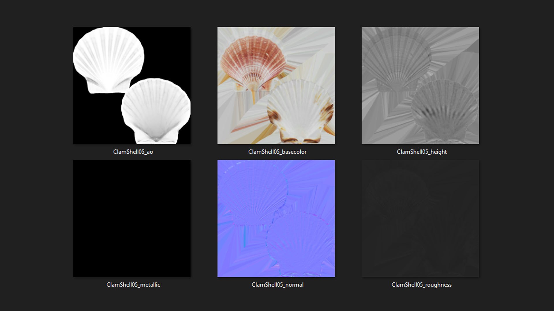 Clam Shell 05 3D Model - TurboSquid 2271431