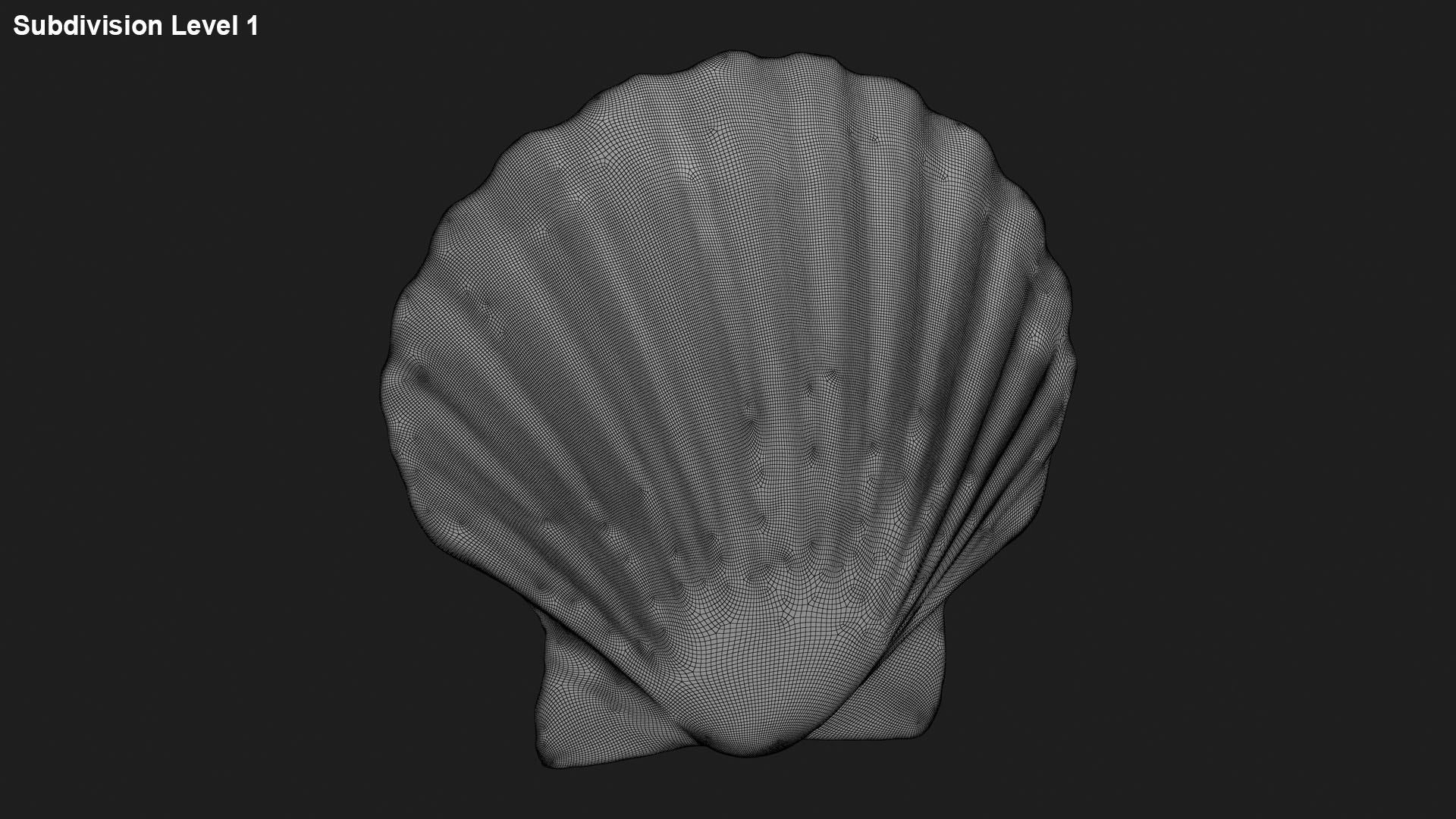 Clam Shell 05 3D Model - TurboSquid 2271431