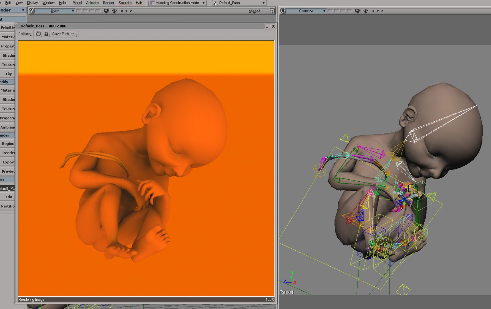 Lightwave Fetus Rigged Lightwave