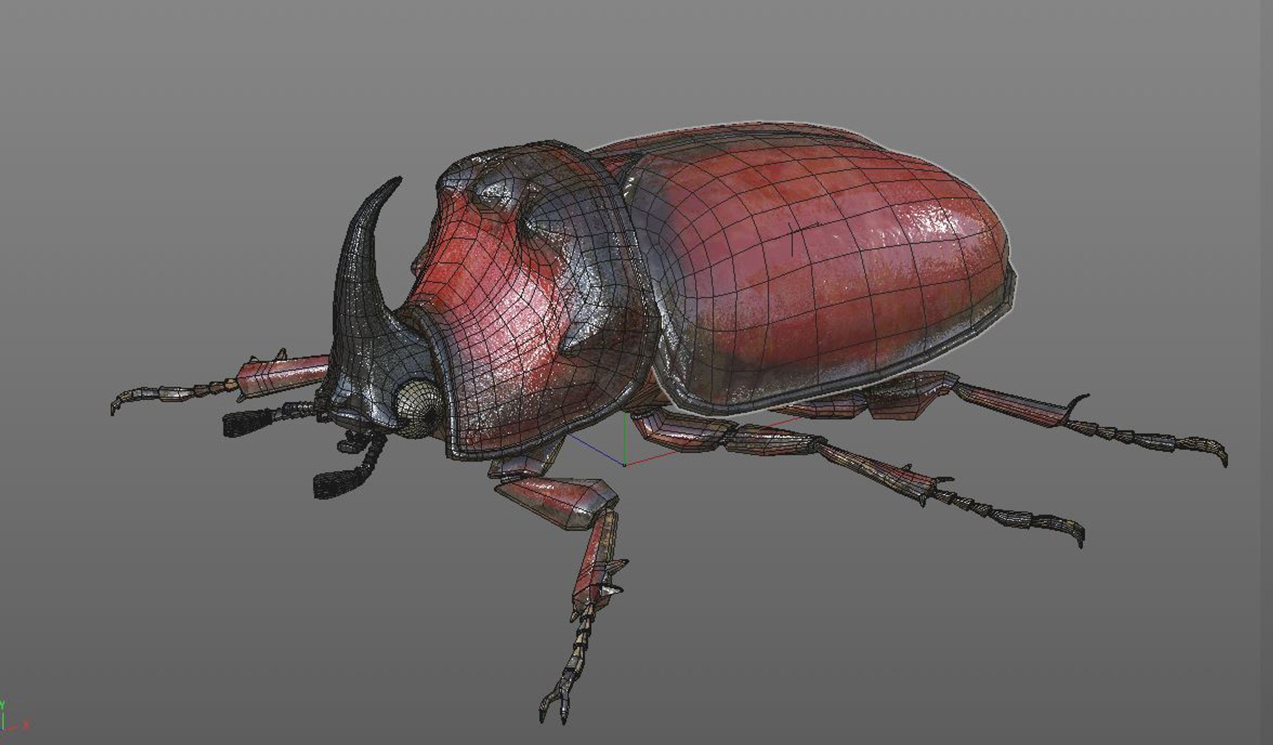 3D Bee Beetle - TurboSquid 1537287