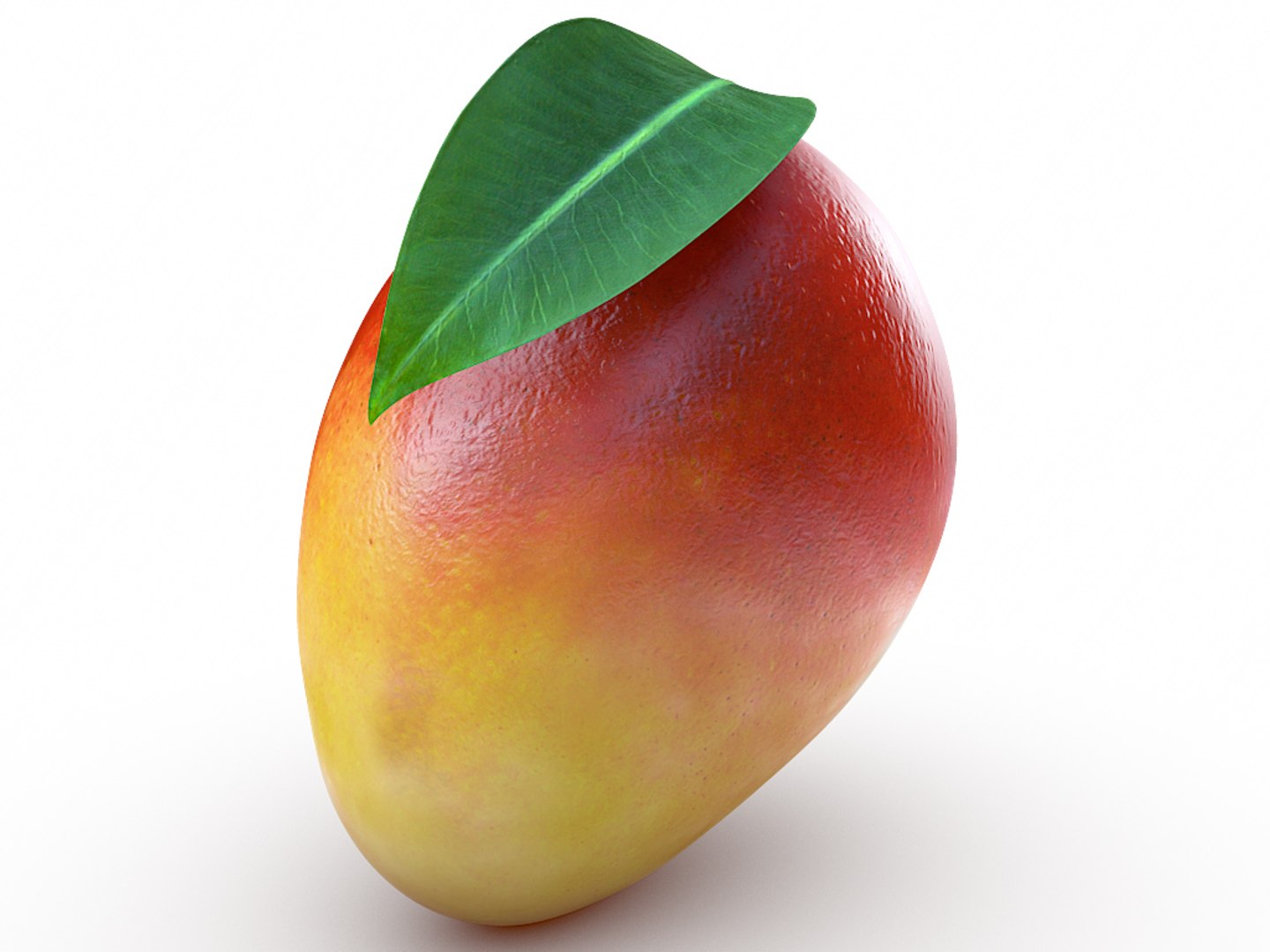 mango sketchfab