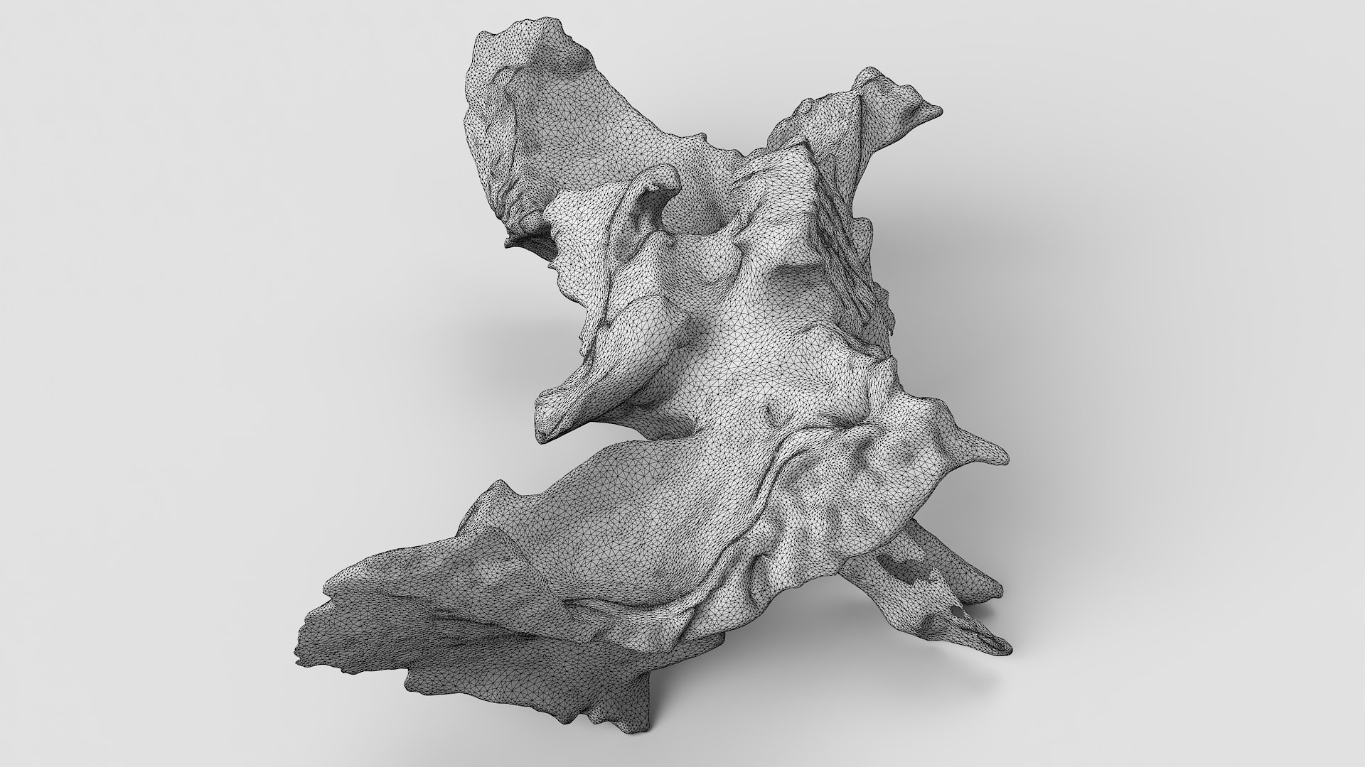 3D Sphenoid Bone 01 - TurboSquid 2144190