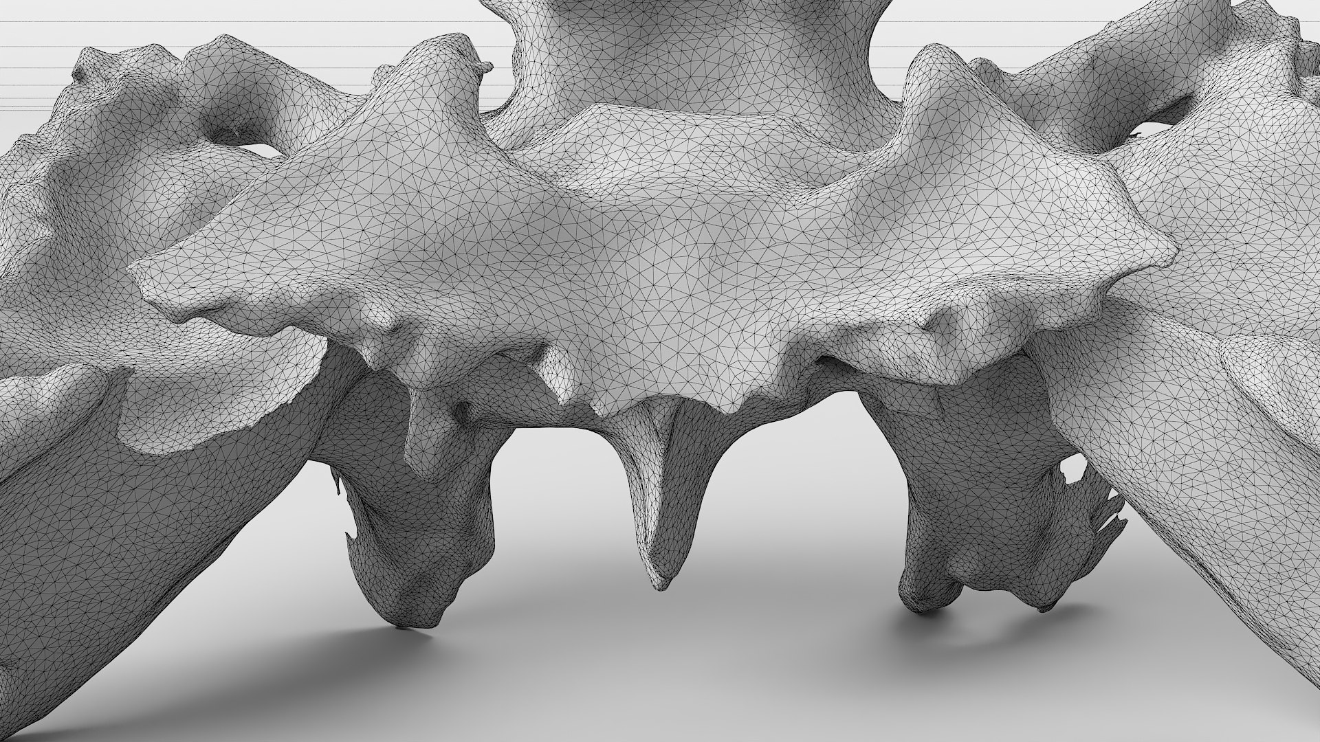 3D Sphenoid Bone 01 - TurboSquid 2144190