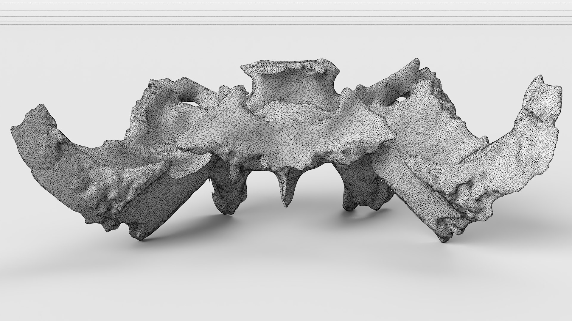 3D Sphenoid Bone 01 - TurboSquid 2144190