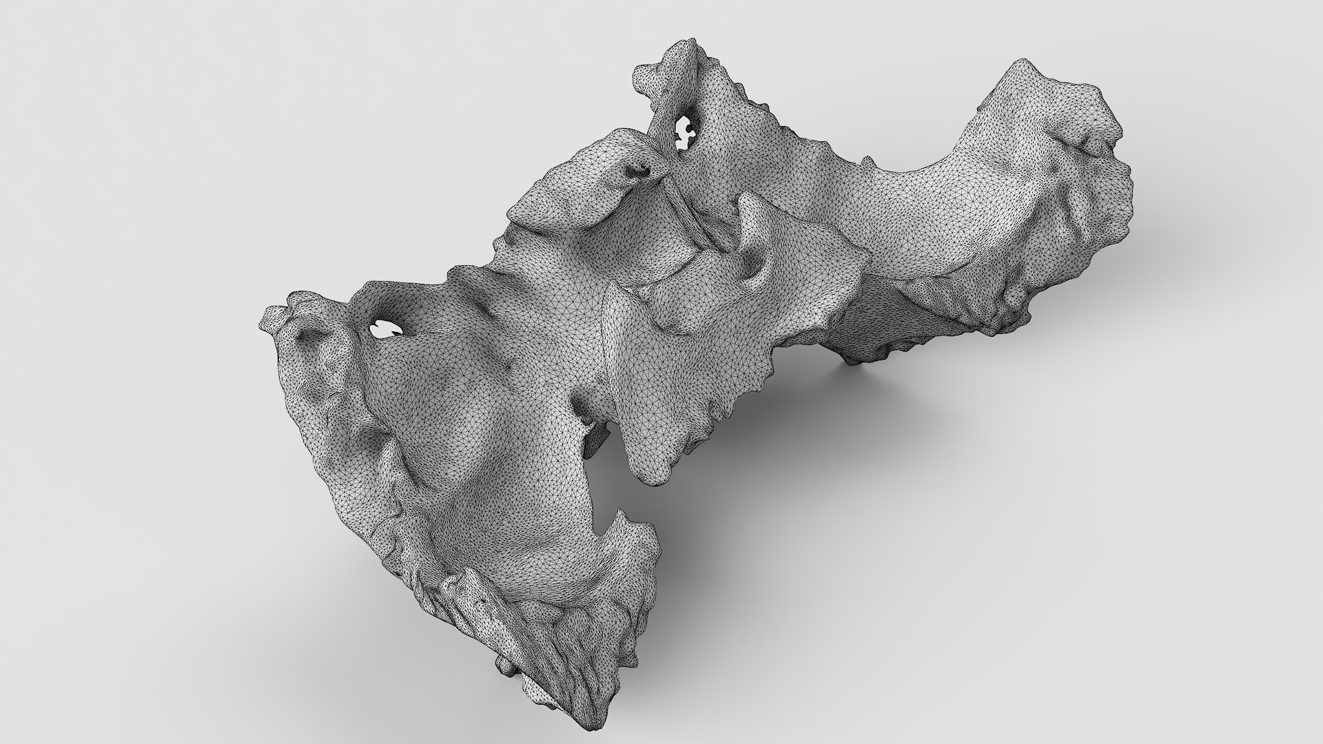3D Sphenoid Bone 01 - TurboSquid 2144190