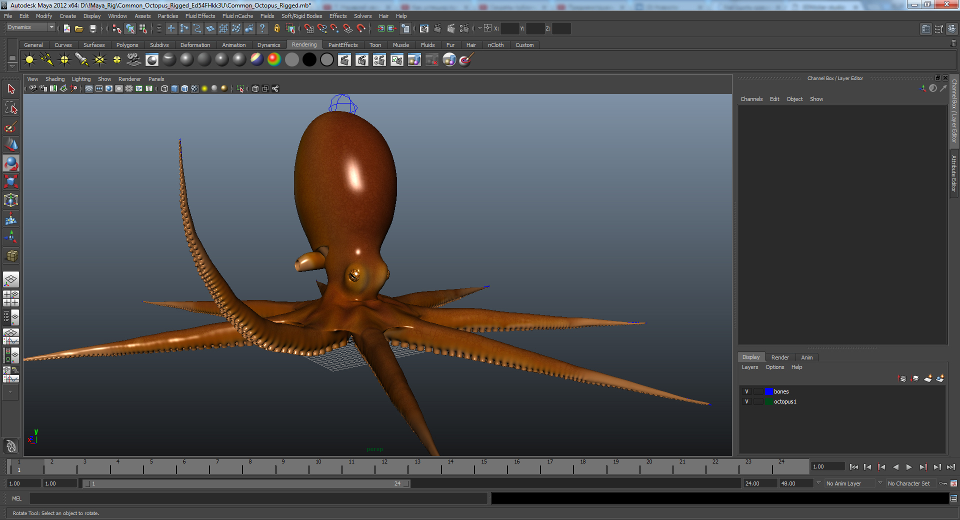 common octopus rigged 3d model