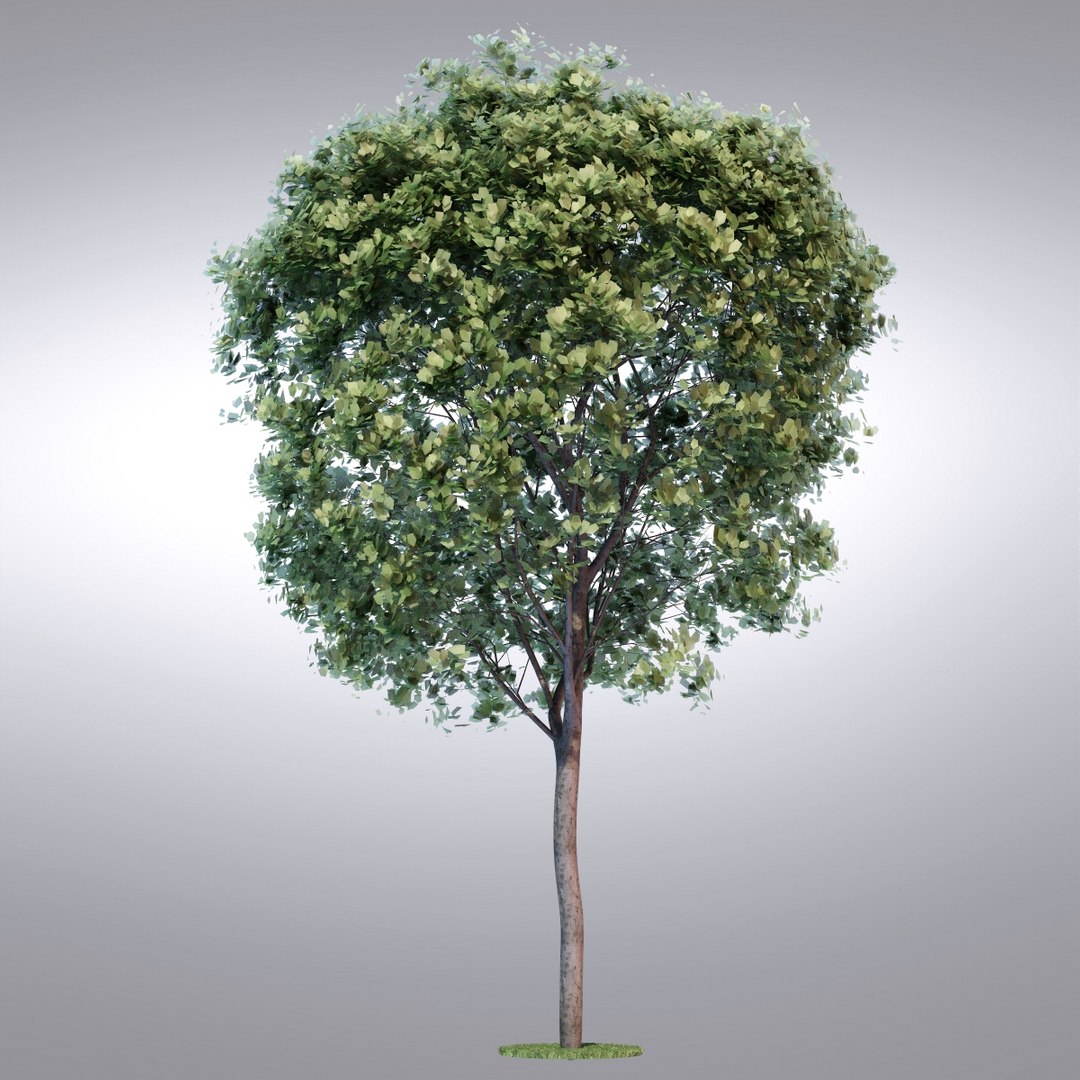 Hi Realistic Series Tree Max
