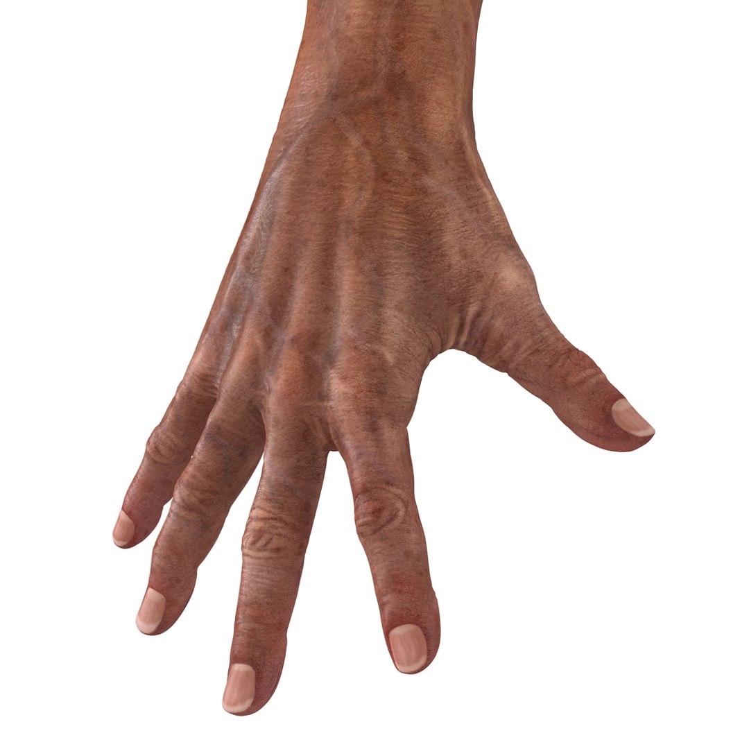 old man hands rigged 3d ma