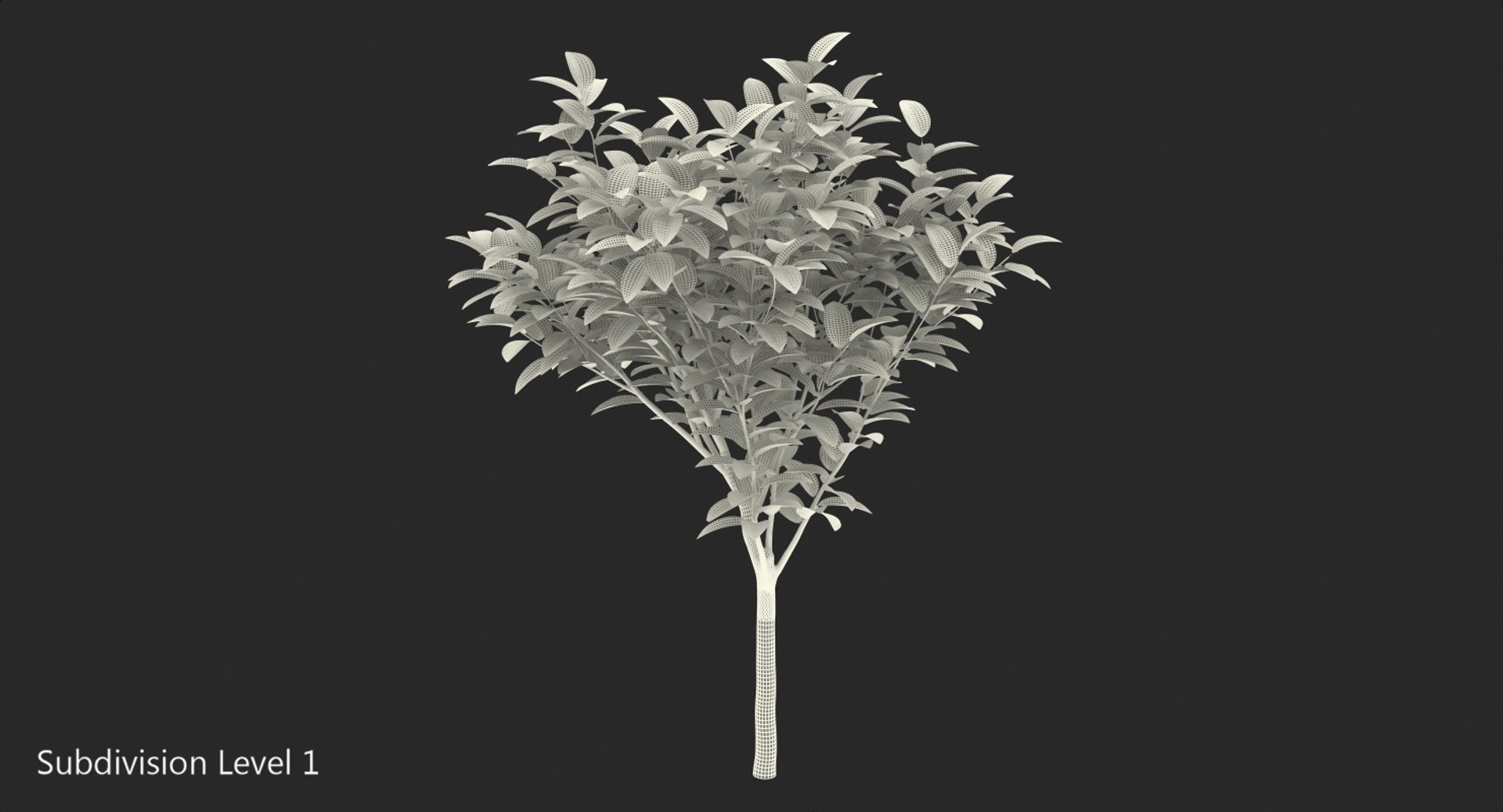 3D model small tree - TurboSquid 1378759