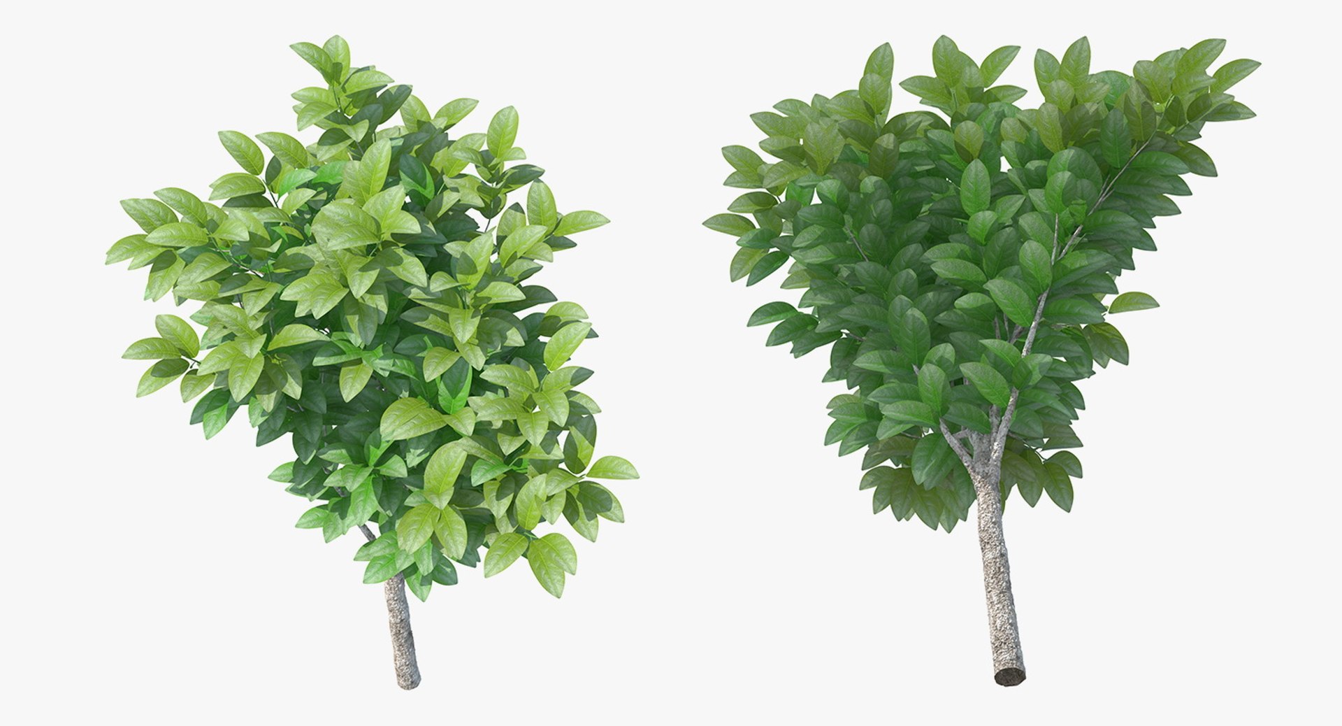 3D model small tree - TurboSquid 1378759
