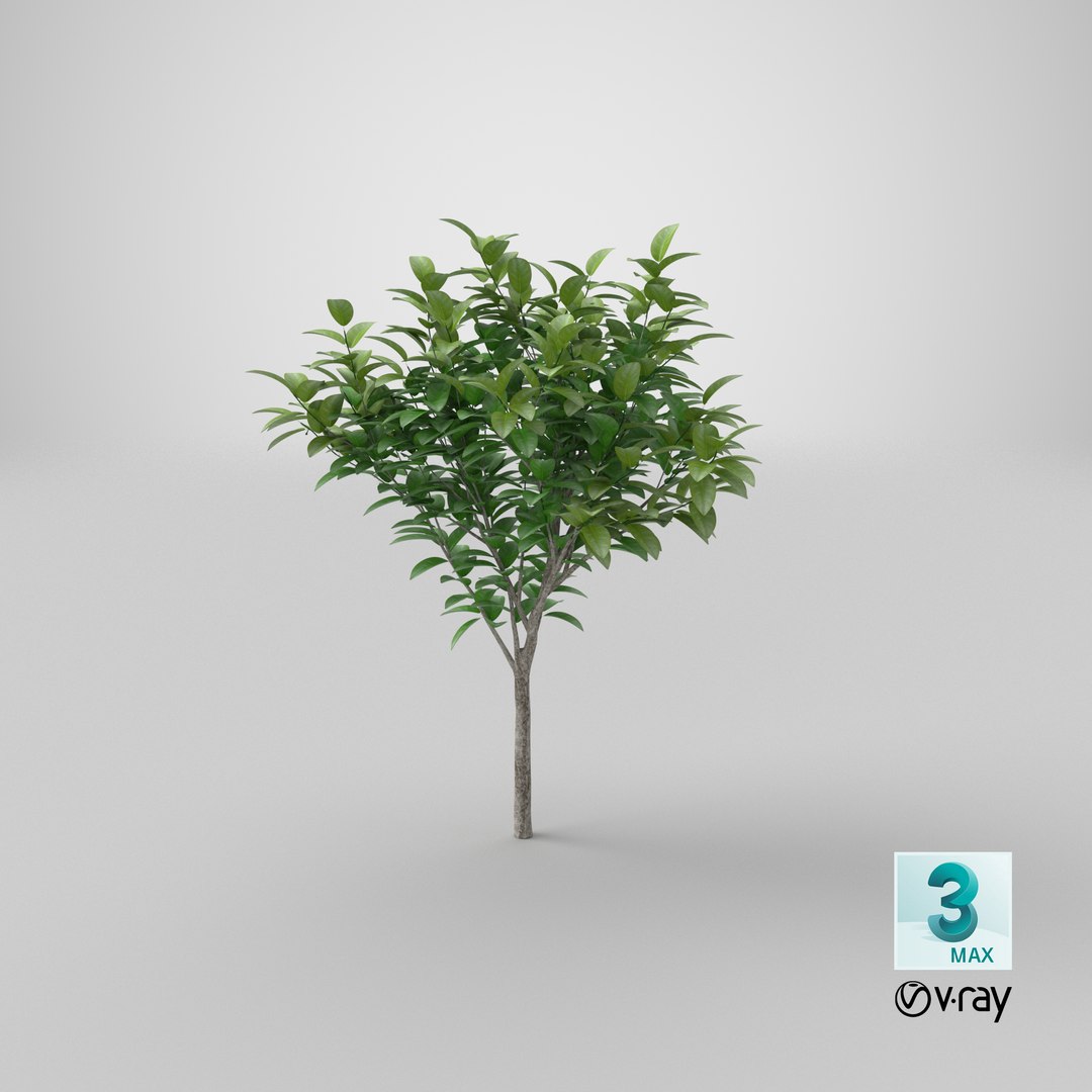 3D model small tree - TurboSquid 1378759