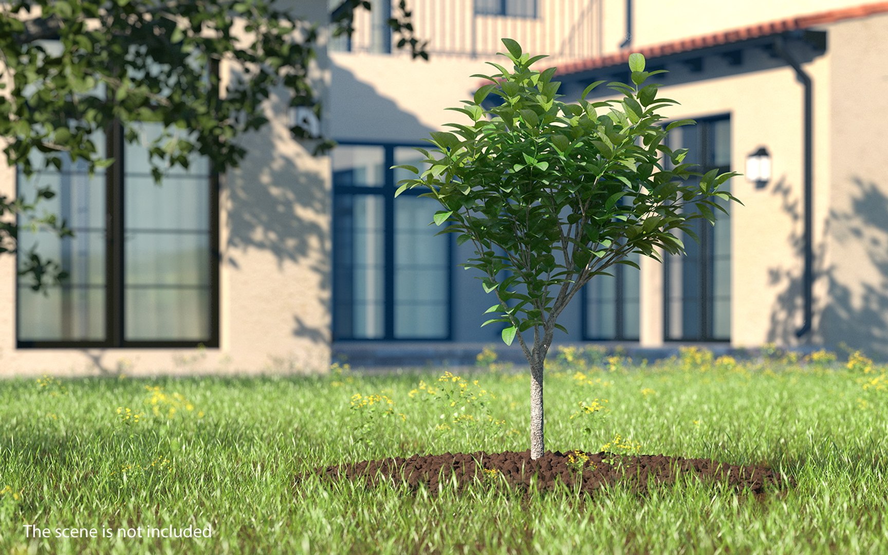 3D Model Small Tree - TurboSquid 1378759